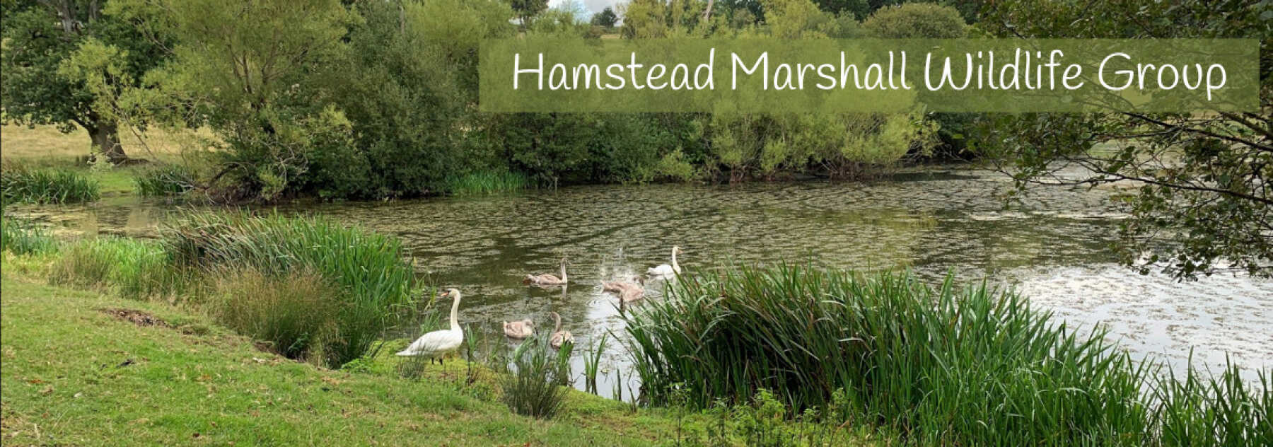 Hamstead Marshall Environmental and Nature Group - aDoddle