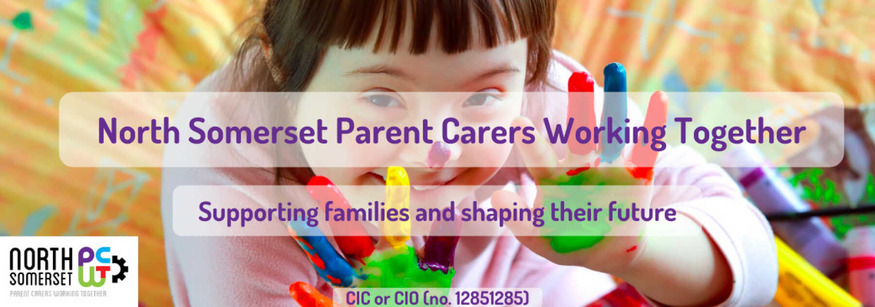 North Somerset Parent Carers Working Together - aDoddle